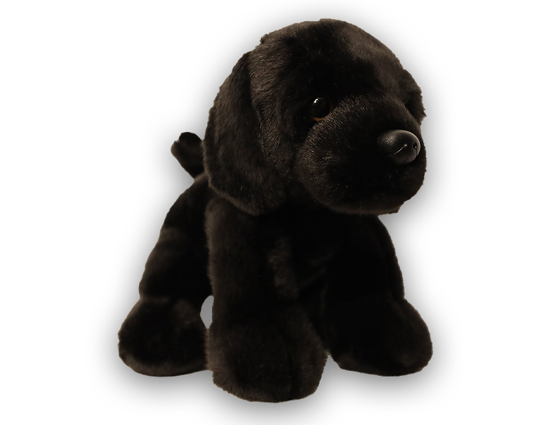 Heritage Black Lab – Memorial Store